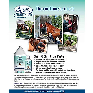 Chill Calming Formula for Horses - 32 Ounces (Quart)