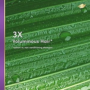 Dove RE+AL Bio-Mimetic Care Conditioner For Fine, Flat Hair Revolumize Silicone-Free Conditioner With Coconut + Vegan Collagen 10oz