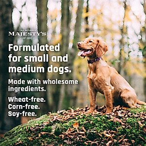 Majesty's Buddy Bites Skin and Coat Wafers for Small / Medium Dogs - Superior Skin, Coat, and Immune Support Supplement - Peanut Butter and Coconut Oil Flavored - 1 Pack (28 Count)