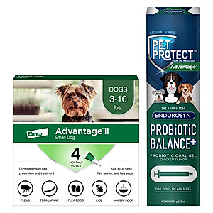 Bundle of Advantage II Small Dog| Dogs 3-10 lbs. | 4-Month Supply + Pet Protect Probiotic Balance+ Dog Supplement | Oral Gel | 32g