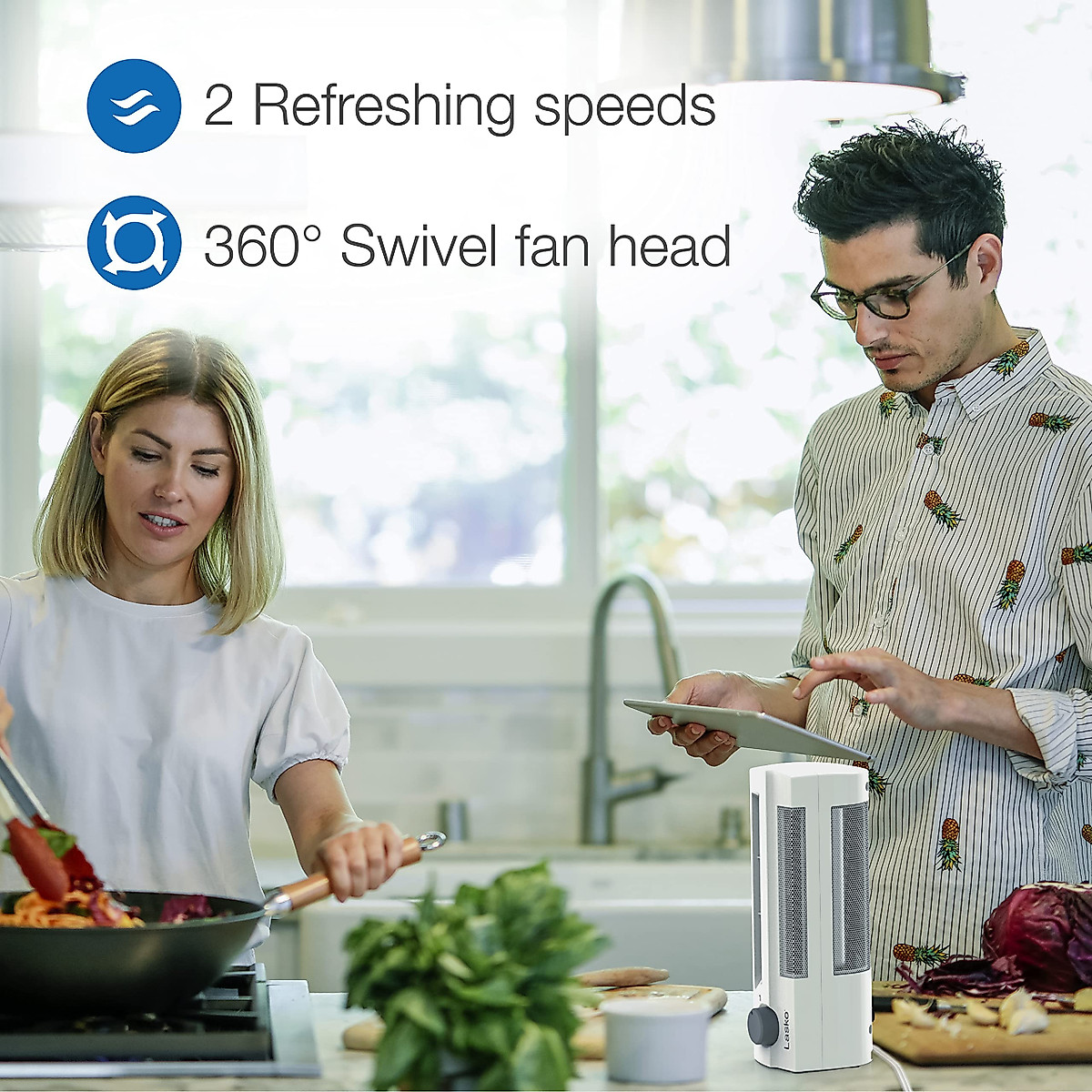 Lasko 4006 Clip Stik Desk Fan 2-SPEED, 10.5" High