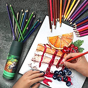 YOOUSOO Colouring Pencils,36 Pcs Professional Coloured Pencils Drawing Pencils, Oil-based Artist Pencil Set, No Wax, Ideal for Sketching, Doodling, Painting, Writing, Pre-sharpened