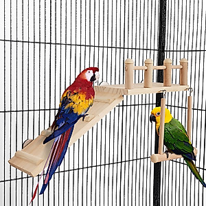 FrgKbTm Bird Perches Platform Swing with Climbing Ladder, Parakeet Cage Accessories Wooden Playing Gyms Exercise Sturdy for Small Birds