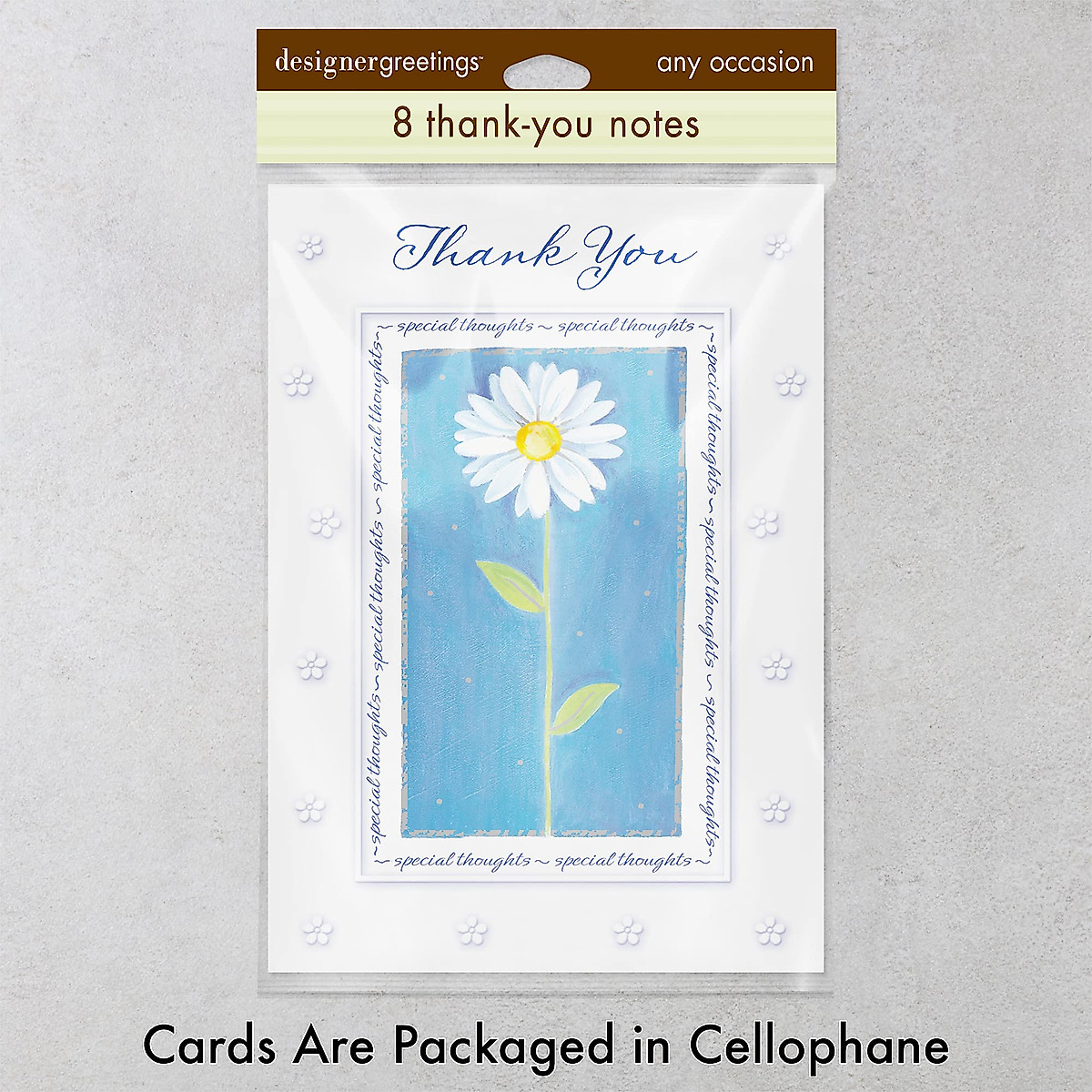 Designer Greetings Thank You Cards, Special Thoughts Meant So Much Message for Any Occasion (8 Daisy Thank-You Notes and Envelopes)