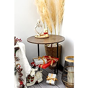 Nohle End Table for Living Room, Accent Table Round 2-Tier Tables with Storage,Small Nightstand,Black Metal Side Table H20in.