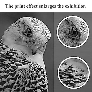 1 Pack 51X | Q7551X Black Toner Cartridge Replacement for HP P3005 P3005d P3005n P3005dn P3005x M3035 MFP M3035xs M3035 M3035xs M3027 MFP M3027x Printer,Sold by TopInk