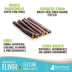 Raw Paws Beef Collagen Sticks for Dogs, 6 inch, 10-ct - Packed in USA - Natural Collagen for Dogs - Dog Chews for Aggressive Chewers & Large Dogs - Collagen Bones for Dogs, Dog Collagen Chews for Dogs
