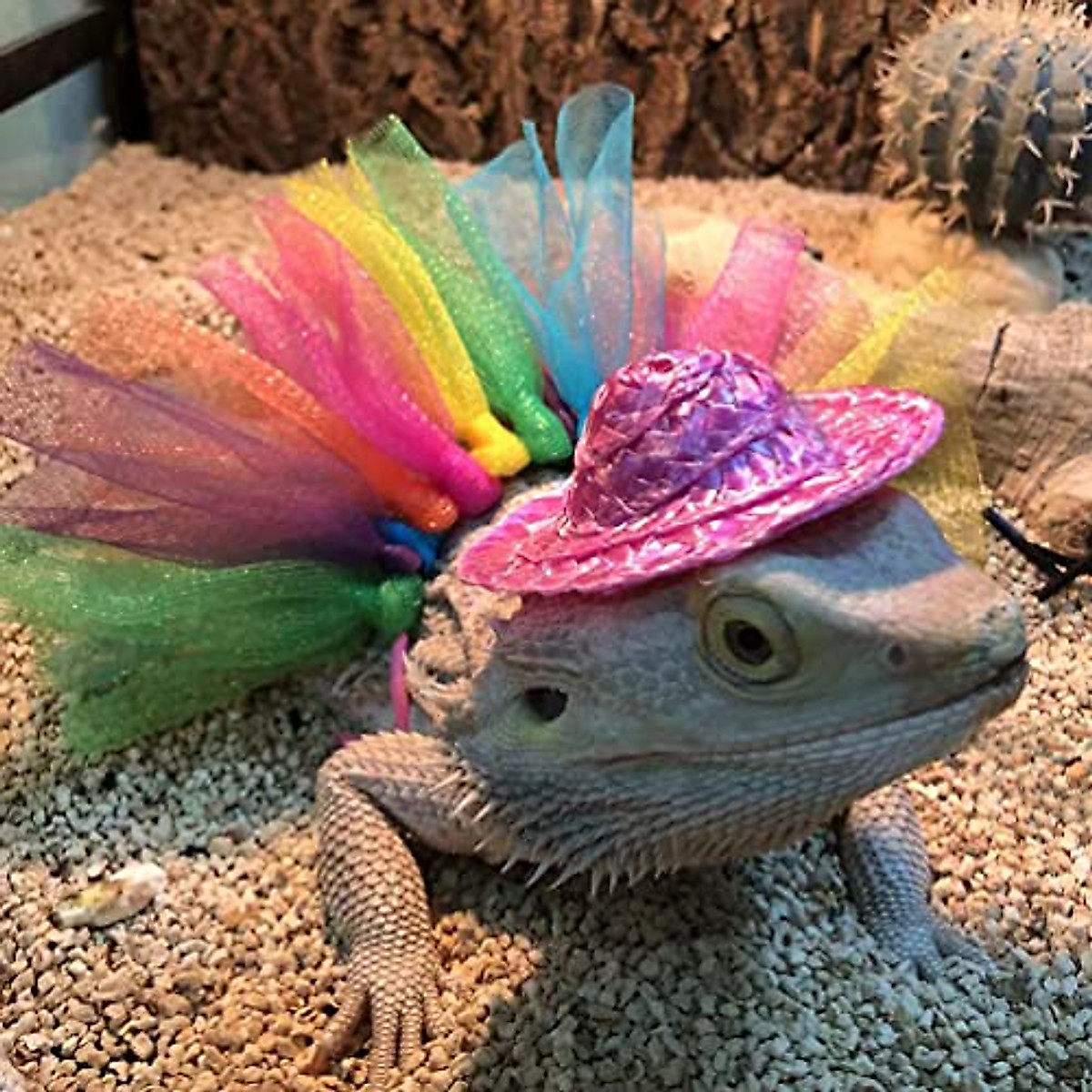 Ipetboom Bearded Dragon Costume Bearded Dragon Hat for Lizards Bearded Dragon Tutu Skirt Reptile Mini Deck Chair Small Pet Costume Outfits Clothes Photo Props for Lizards Geckos Hamsters Rats