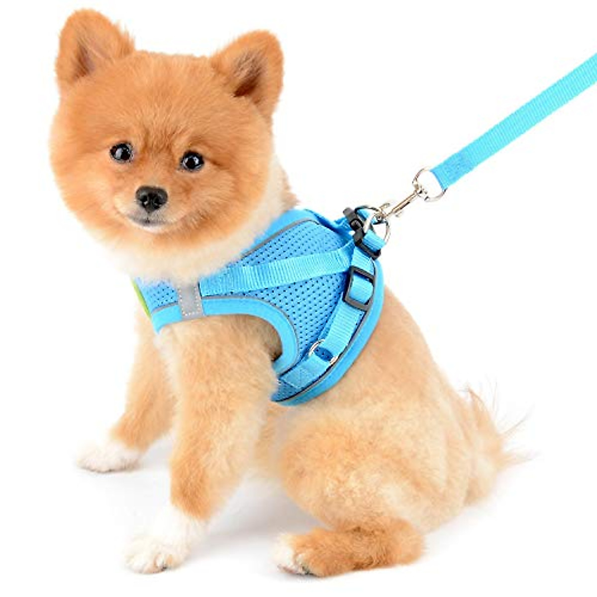 SMALLLEE_LUCKY_STORE Comfort Puppy Harness and Leash,Soft Mesh Step-in Harness for Small Medium Dogs Cat Reflective Safe Walking,Blue,Size M