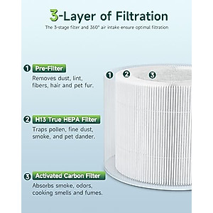 2-Pack HP01 HP02 Filter Replacement Kit Compatible with Dyson HP01/HP02/DP01 Air Purifier, H13 True HEPA Air Purifier Filter