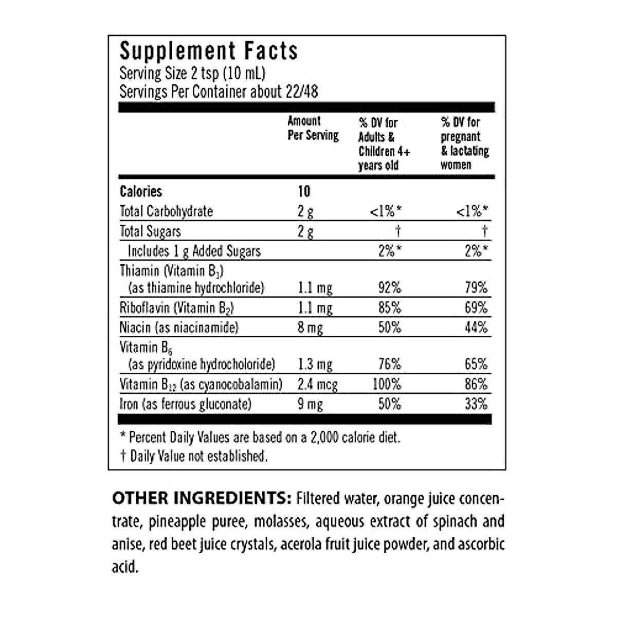 Flora Iron with B-Vitamin Complex - Helps Maintain Healthy Iron Levels - Non-Constipating, Highly Absorbable - Vitamin-B & Liquid Iron - Vegan Supplement - Yeast & Gluten Free, 7.7-oz. Glass Bottle
