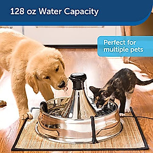 PetSafe Stainless 360 Pet Fountain - 1 Gallon (128 oz) Dog and Cat Water Fountain - Water Filters Remove Hair - Water Dispenser Entices Pets to Drink - Customizable Cat and Dog Water Bowl Dispenser