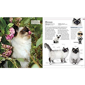 The Cat Encyclopedia: The Definitive Visual Guide (DK Pet Encyclopedias)