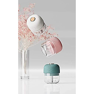 DmofwHi Electric Garlic Chopper,Cordless Mini Chopper With USB Rechargeable,304 Stainless Steel Blade,250ml Portable Electric Mini Food Chopper for Garlic,Ginger,Onion,Meat-Blue