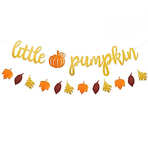 Glitter Little Pumpkin Banner Fall Baby Shower Gender Reveal Birthday Party for Kid's Birthday Party Decor Autumn Thanksgiving little pumpkin baby shower decorations