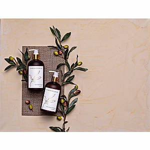 Gilchrist & Soames Olive Branch Shampoo - 12oz - All Hair Types, Zero Parabens, Sulfates, and Phthalates