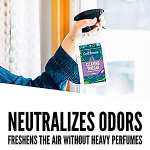 Aunt Fannie's All Purpose Cleaning Vinegar, Multisurface Spray Cleaner, 16.9 Ounces, Lavender Scent (Pack of 1)