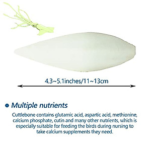 Tfwadmx 8Pcs Bird Cuttlebone for Parakeets Cuddle Bones for Birds Chewing Cuttlefish Bone Natural Birds Calcium for Parrots Cockatiels Budgies Conures Cockatoos,4.3-5.1 Inches