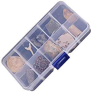 Hemobllo Fossil Specimens Collection Set, 10PCS Paleontology Fossil Specimens, Trilobite Amber Fossil Educational Science Kits, Creative Science Decoration Stone