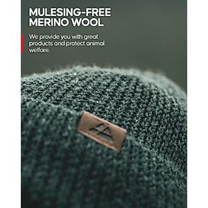 DANISH ENDURANCE Polar Fleece Merino Beanie Adult 1-Pack One Size Black 1-Pack