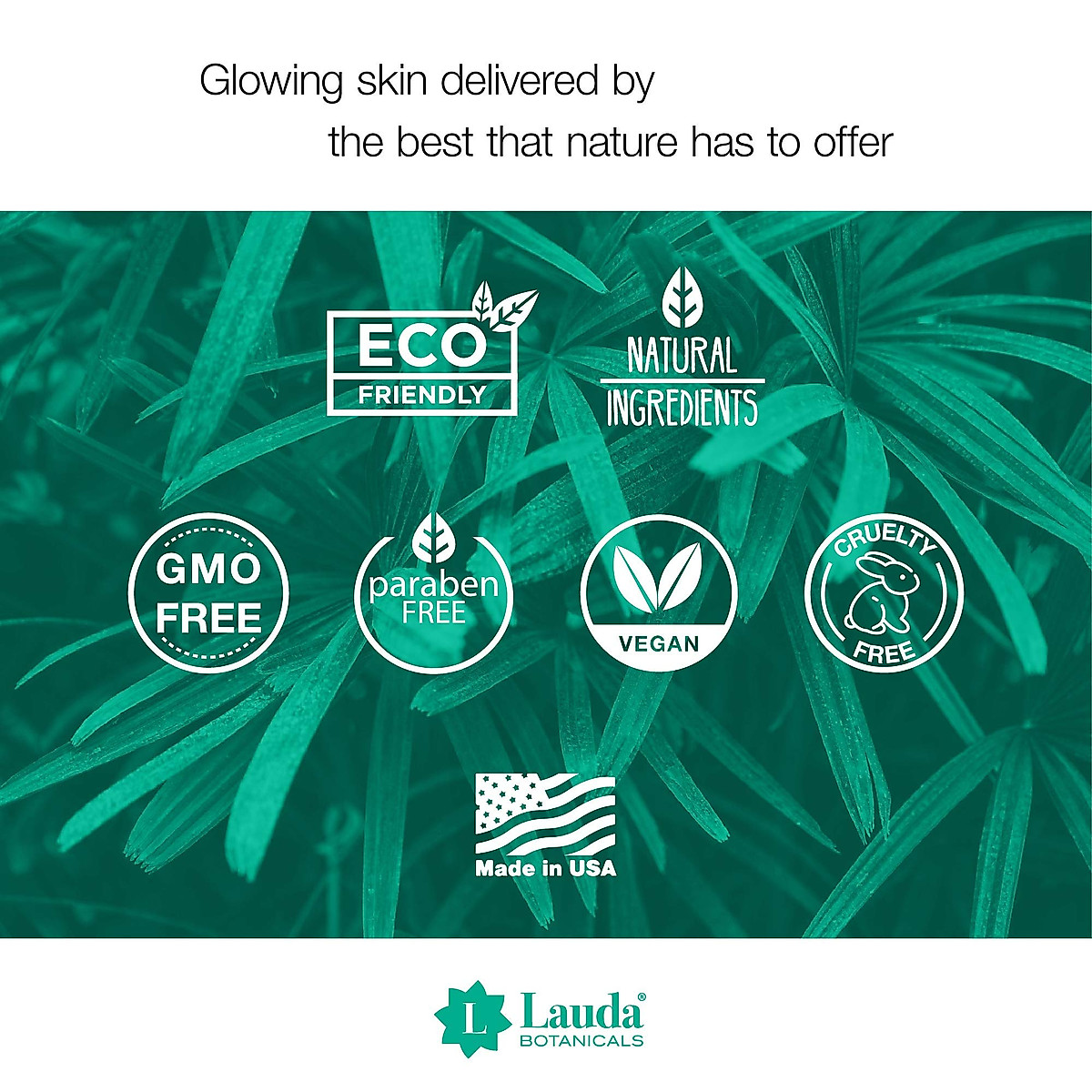 Blackhead Remover Cleanser with Salicylic Acid, Deep Pore Facial Cleanser, Blackhead Eliminator and Dissolving Gel, 1 Ounce by LAUDA BOTANICALS