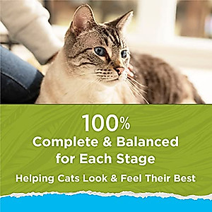 Purina Cat Chow Hairball, Healthy Weight, Indoor, Natural Dry Cat Food, Naturals Indoor - 13 lb. Bag