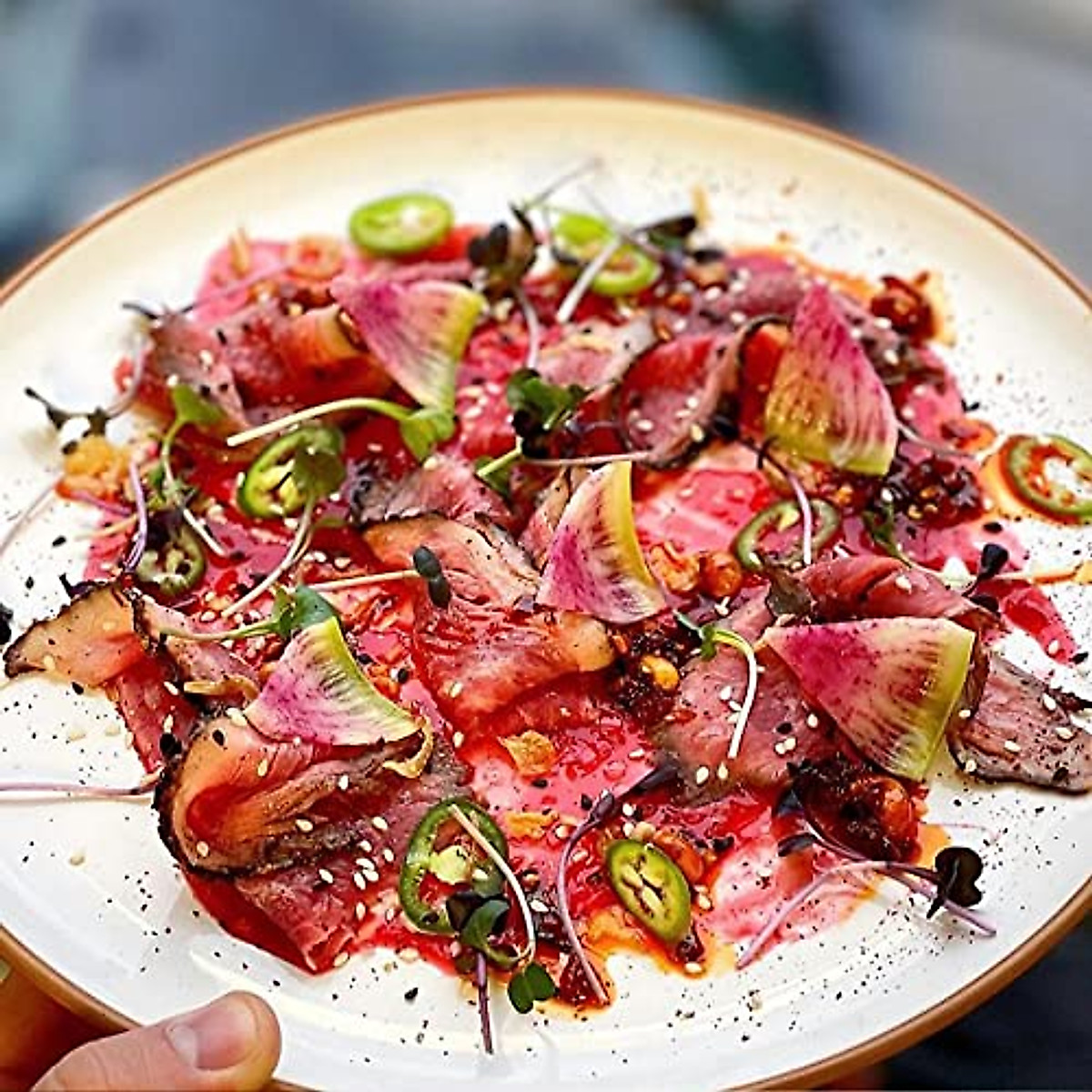 Mora Ceramic Dinner Plates Set of 6, 10 inch Dish Set - Microwave, Oven, and Dishwasher Safe, Scratch Resistant, Modern Rustic Dinnerware- Kitchen Porcelain Serving Dishes - Vanilla White