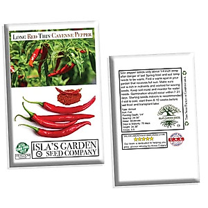 Long Red Thin Cayenne Pepper Seeds for Planting, 100+ Heirloom Seeds Per Packet, (Isla's Garden Seeds), Non GMO Seeds, Botanical Name: Capsicum annuum, Great Home Garden Gift