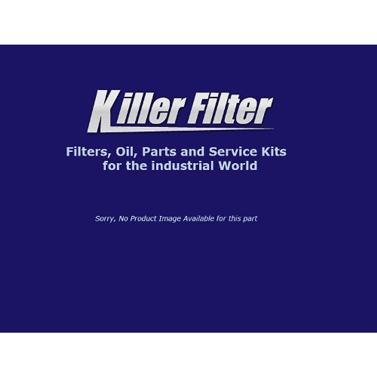 113225 Quincy Hydraulic Unloader Repair Kit & Part Replacement