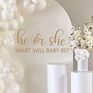 QIANGDAGSI He Or She What Will Baby Be Balloon Arch Decoration - Gender Reveal Girl Or Boy Baby Shower Decal Sign,Baby Gender Reveal Welcome Sign,Welcome Baby Shower Sign Decal (He Or She Decal)