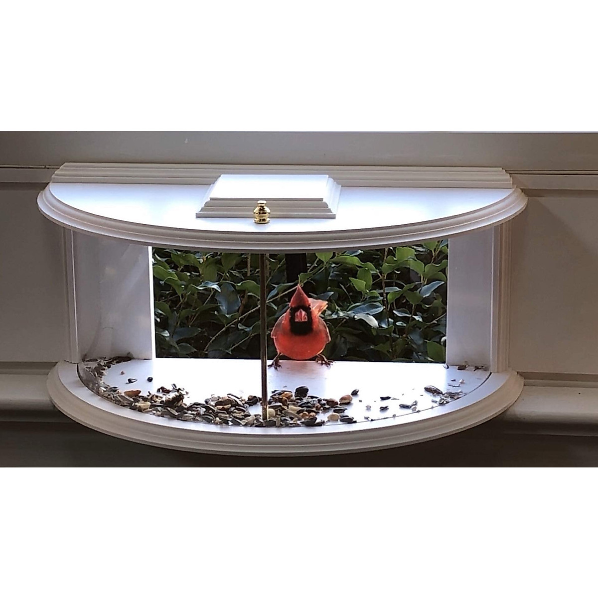 Clearview Window Bird Feeder by Paradise Birdhouses