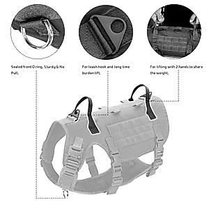 Forestpaw Tactical Dog Harness for Large Dogs,Tactical Dog Collar with Bungee Leash Set,No Pull Military Dog Harness for Dog Walking Training,Adjustable for Medium Large Dogs,Black S