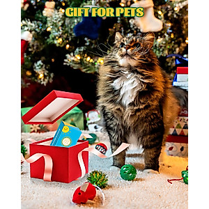 Awpland Cat Brush for Shedding, Sunflower Shape Self Cleaning Slicker Brush for Dogs Cats Puppy Rabbits, Cat Hair Brush for Removing Loose Hair, Fur, Undercoat, Mats, Tangled Hair, Knots