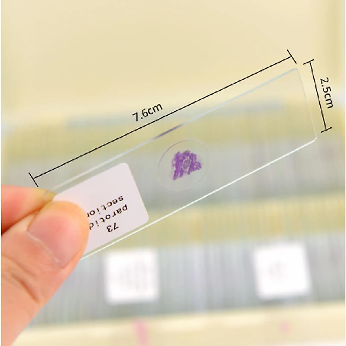 100pcs/set Teaching Microscope Human Histology Glass Prepared Slides