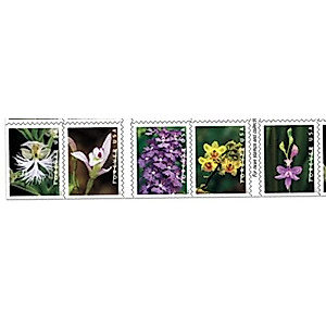 USPS Wild Orchids Flowers Forever Stamps Postal First Class US Postage Stamps Birthday Wedding Celebration Engagement Anniversary Bridal Shower (Strip of 10)