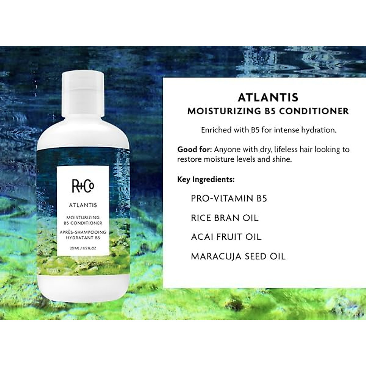 R+Co Atlantis Moisturizing B5 Conditioner | Nourishing + Tames Frizz + Intense Hydration | Vegan + Cruelty-Free | 8.5oz