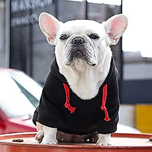 2 Pieces Dog Hoodie Love Foot Prints for Dog Clothes Holiday Festival Dog Dresses Puppy Hoodies Party Costumes Doggie Coat Cat Outfits Dog Sweatshirt for Small Dogs Cats Boy Girl Puppy Clothes