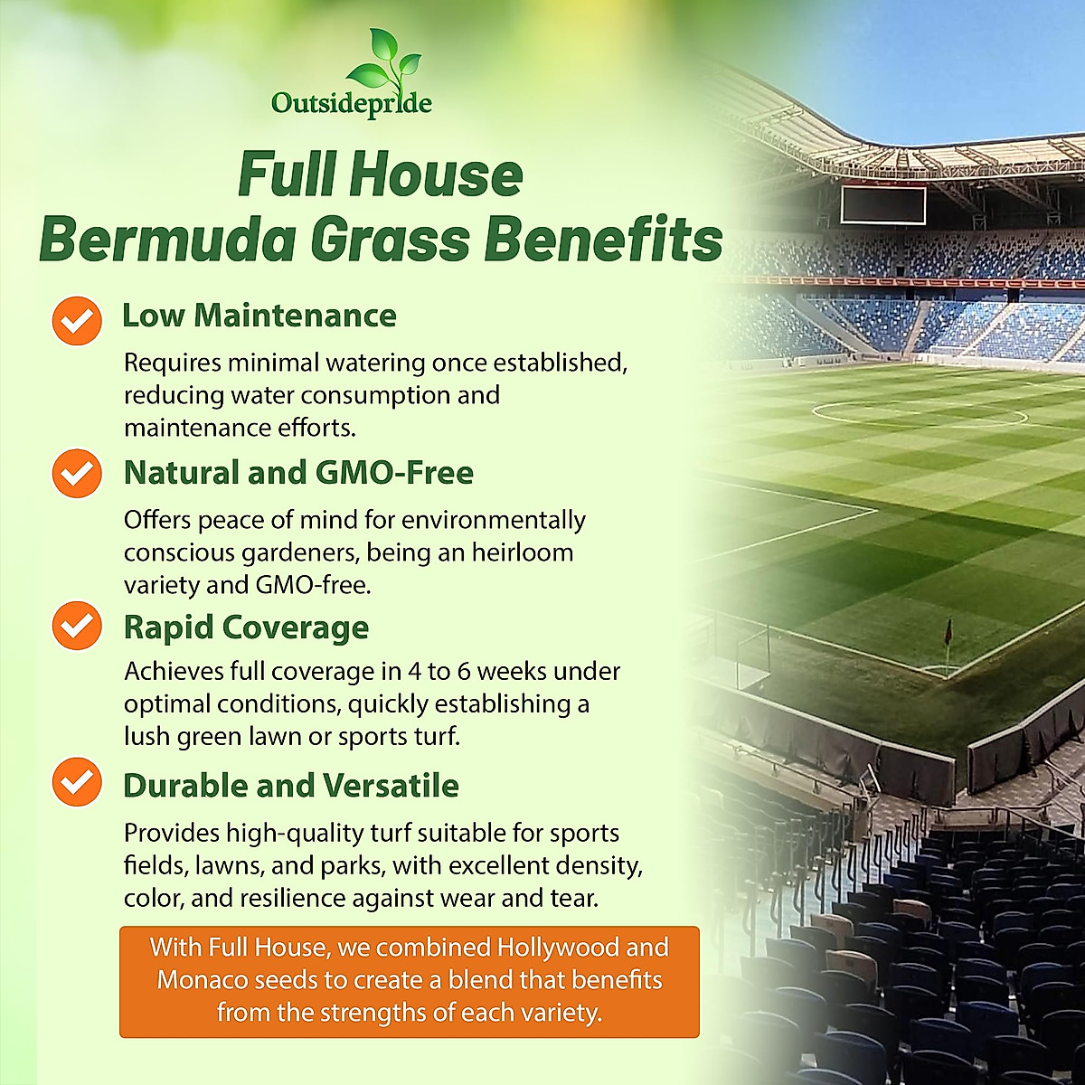 Outsidepride Full House Bermuda Grass Seed Mix - 2 lbs. Premium Warm Season Turf Blend of Traffic & Drought-Tolerant Monaco & Hollywood Bermuda Grass Seeds for Lawn, Golf Courses & Fairways