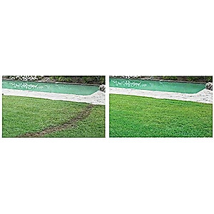 Hydro Mousse Liquid Lawn - Bermuda Grass Seed Mixture - Grow Grass Where You Spray it - Seed Like The Pros