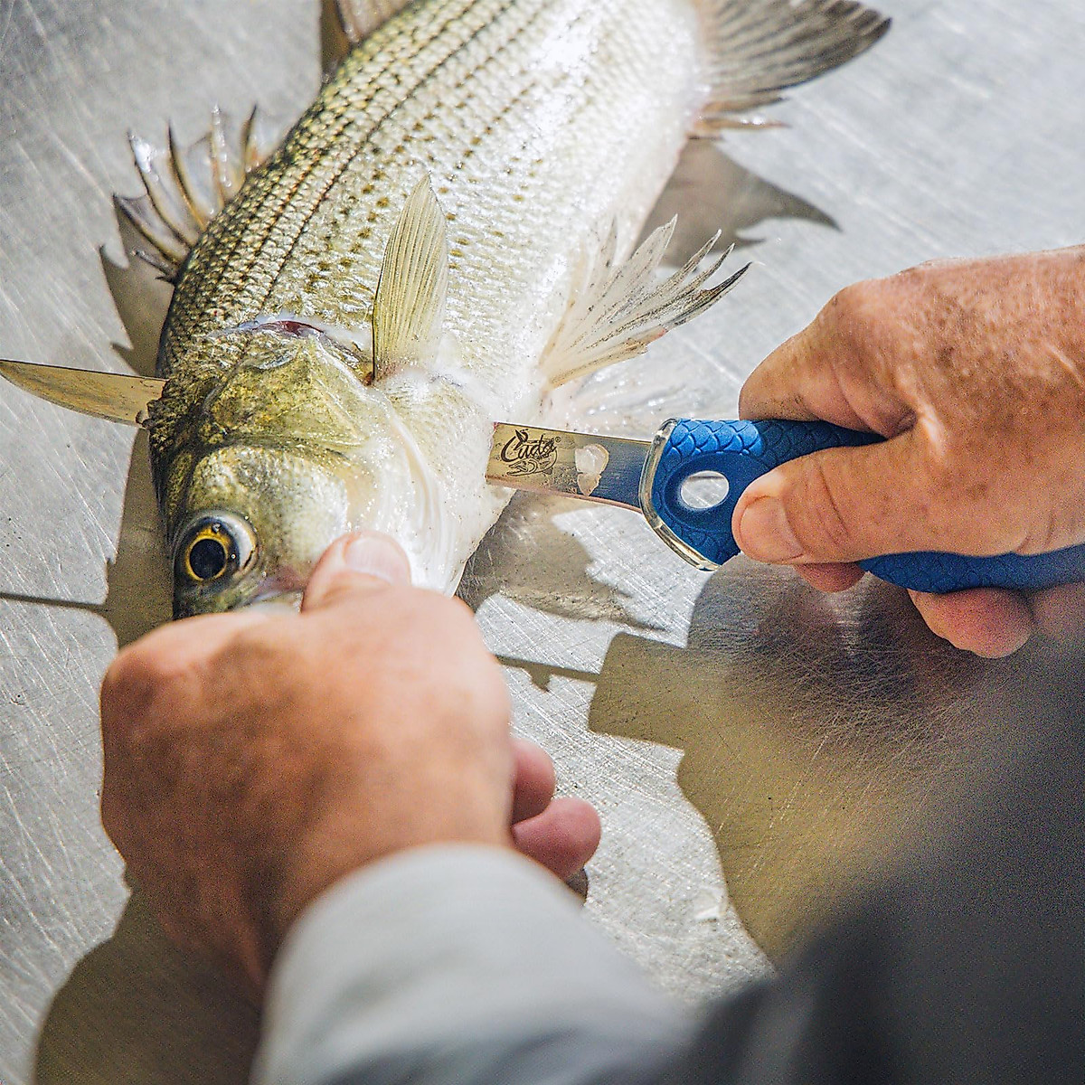 Cuda 6 Piece Fillet Knife Set | 4 Filleting Knives with Titanium Bonded Blade & Non-Slip Grips, Knife Sharpener & Prym1 Heavy Duty Case Included