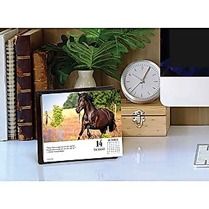 What Horses Teach Us 2021 Box Calendar