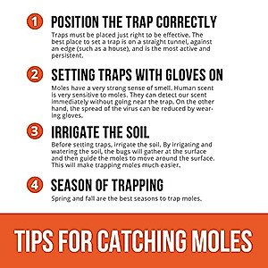 Ubalun Mole Traps That Kill, Easy Setup and Quick Kill Scissor Traps, Vole Gopher Trap for Lawns, Heavy Duty and Non-Toxic (2 Traps)