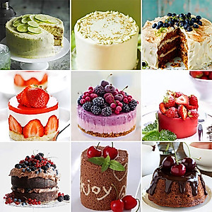 Alotpower Springform Pan Set of 4, 4 Inch Non-Stick Leakproof Round Cake Pans Small Cheesecake Pan with Removable Bottom Pan for Mini Cheesecakes, Pizzas and Quiches