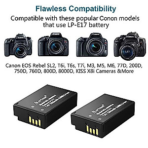 Artman LP-E17 Battery 2-Pack and USB Dual Charger Kit for Canon Eos RP R10 Rebel T8i T7i T6i T6s SL2 SL3 EOS M6 M5 M3 77D 200D 750D 760D, 800D 8000D KISS X8i DSLR Camera (Black)