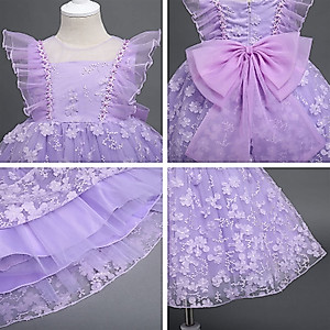 Infant Baby Flower Girls Dress Flutter Ruffle Bowknot Tutu Dress Christening Baptism Gown Toddler Little Princess Pageant Wedding First Communion Birthday Party Beaded Tulle Dress Purple 6-12 Months