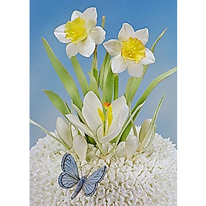 Butterfly Wings Cutter Set (2 types) by WSA