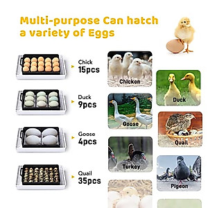 Apdoe Egg Incubator Clear View, Automatic Egg Turner, Temperature Humidity Control, Egg Candler, Poultry Egg Incubator for Hatching 12-15 Chicken Eggs, 35 Quail Eggs, 9 Duck Eggs, Turkey Goose Birds