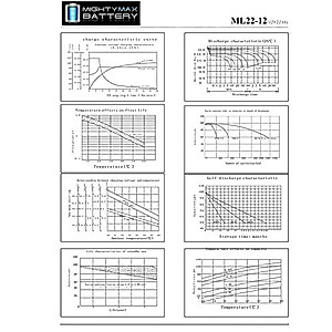 Mighty Max Battery 12V 22AH Sealed Lead Acid Battery for Jump N Carry JNC660