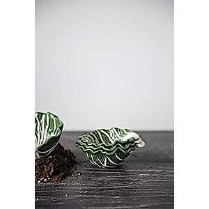 Creative Co-Op Hand-Painted Cabbage Shaped Stoneware, Set of 4 Bowl, Green, 4