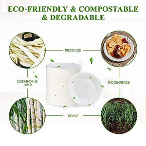 Vplus 100% Compostable Small Paper Plates, 300 Pack 6 Inch Disposable Paper Plates, Uncoated Biodegradable Plates Made of Sugar Cane Fibers, Perfect for Sandwich, Cake, and Snack